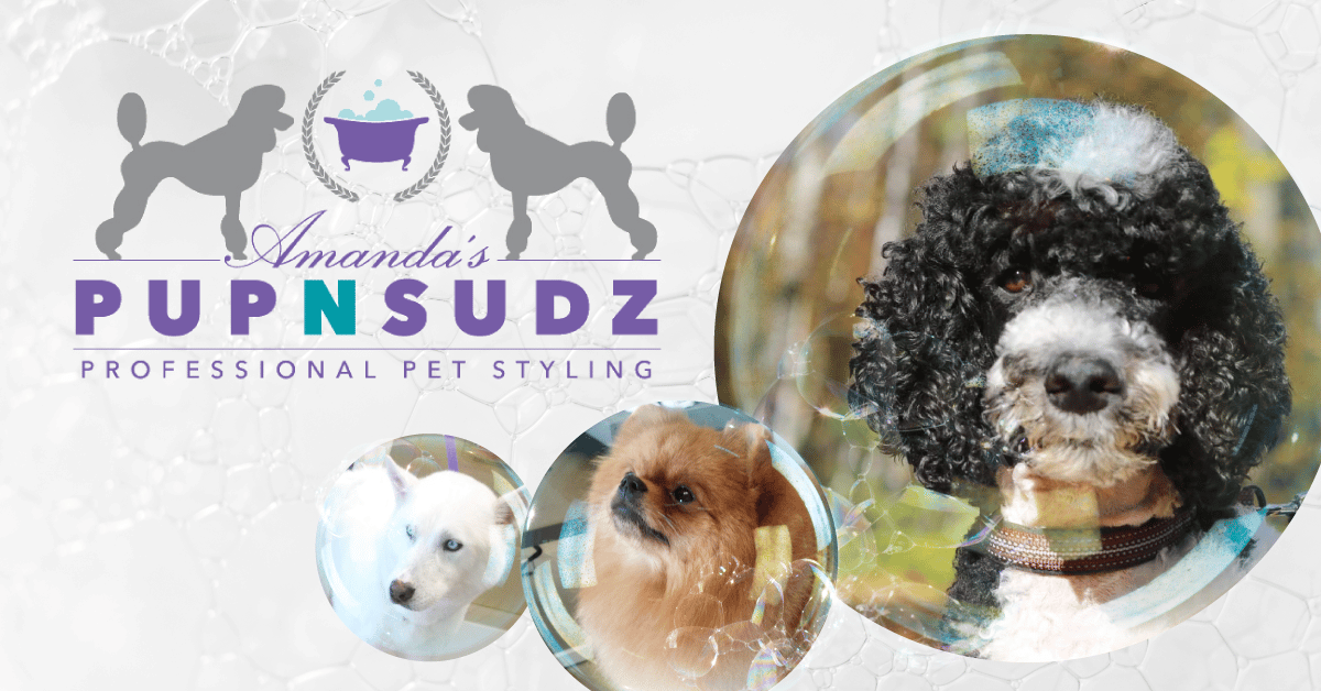 Professional Pet Grooming Services - Amanda's Pup n' Sudz
